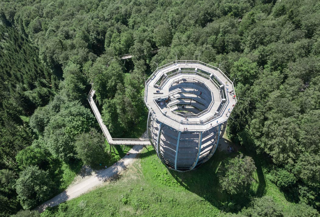 3 of the Coolest Treetop Walks in Europe: Switzerland, Germany ...