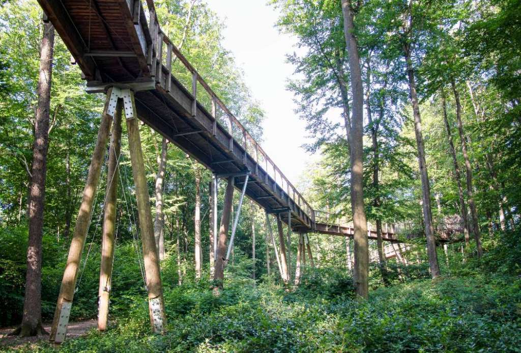 3 of the Coolest Treetop Walks in Europe: Switzerland, Germany ...
