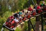 What is Dollywood Like? 10 Things You Need to Know About the Theme Park ...