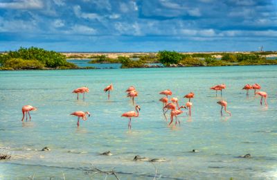 What Are the ABC Islands? Your Guide to the Dutch Caribbean | TravelAwaits