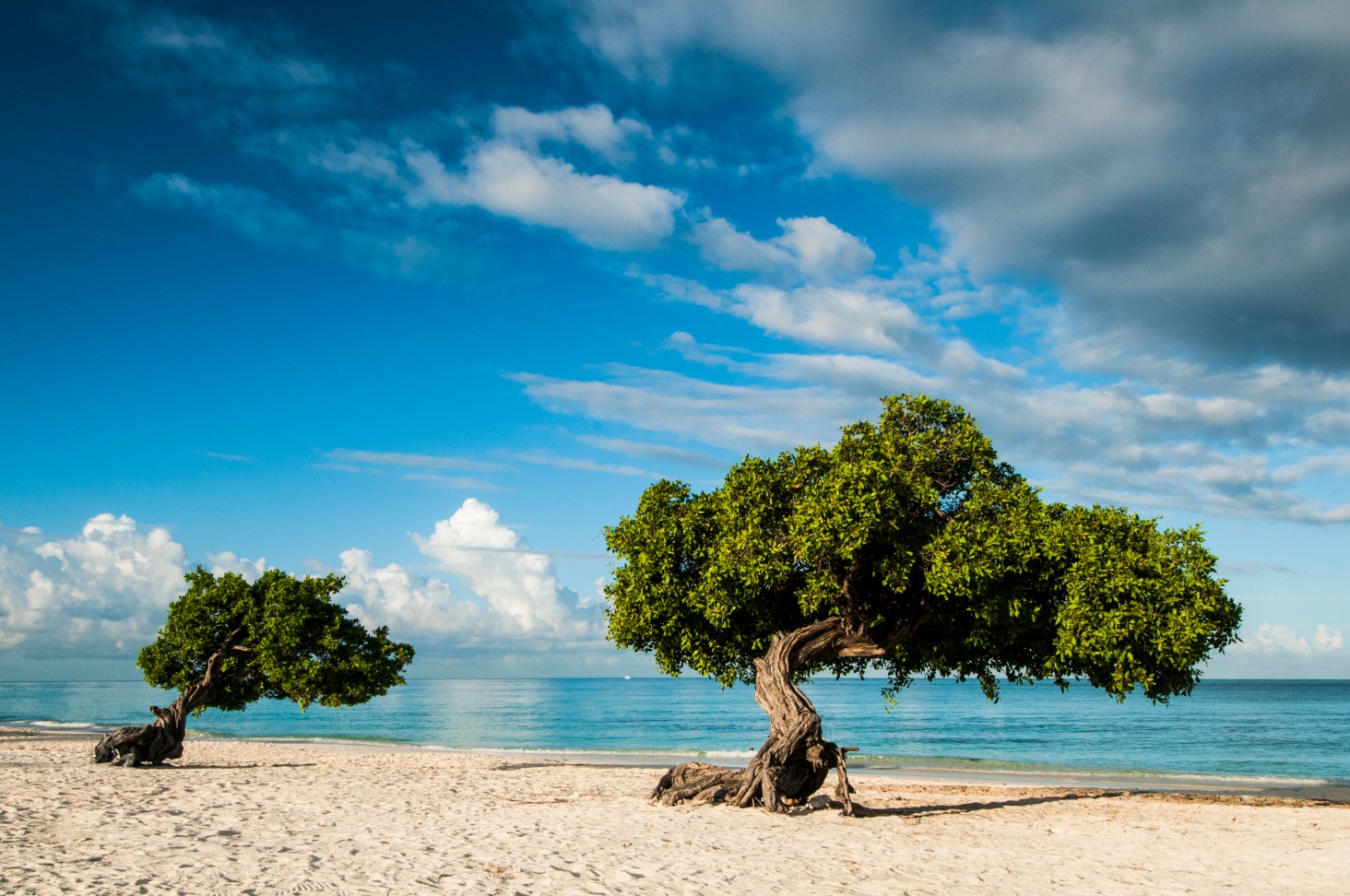 What Are the ABC Islands? Your Guide to the Dutch Caribbean | TravelAwaits