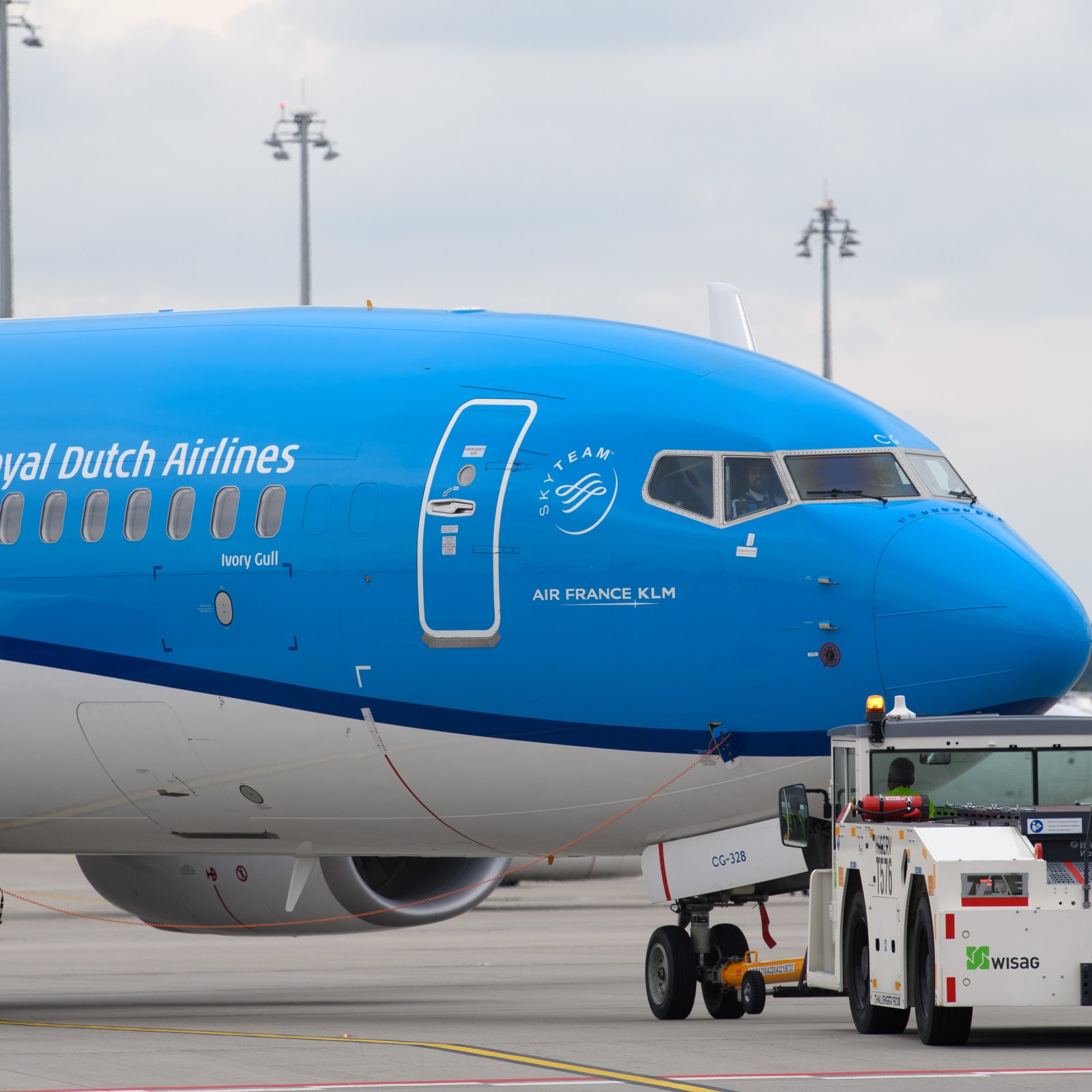 Study of 500M Travel Searches Reveals World’s Best Airline Loyalty ...