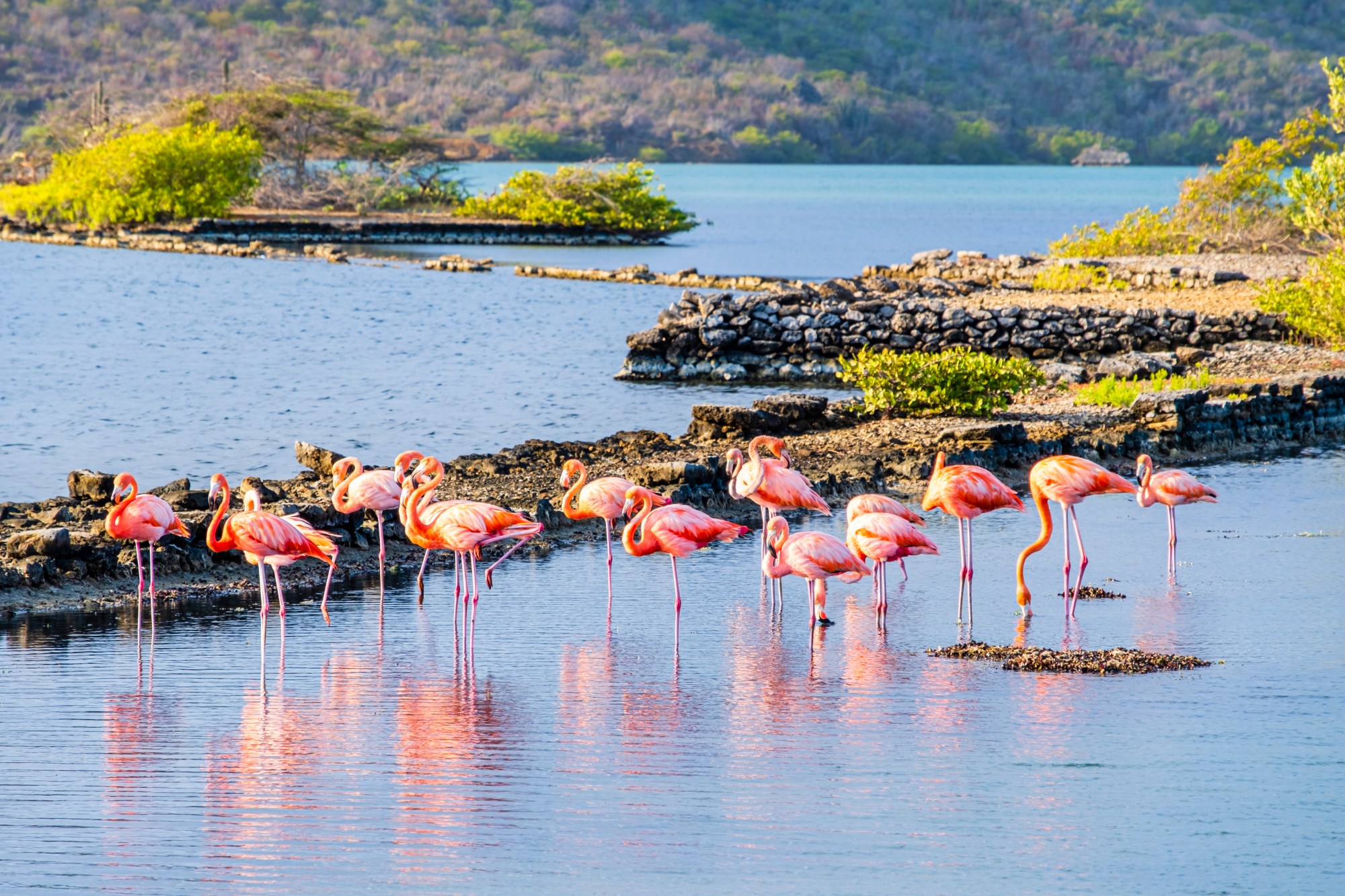 10 Cheapest Caribbean Destinations to Fly To—Which Island Should You ...