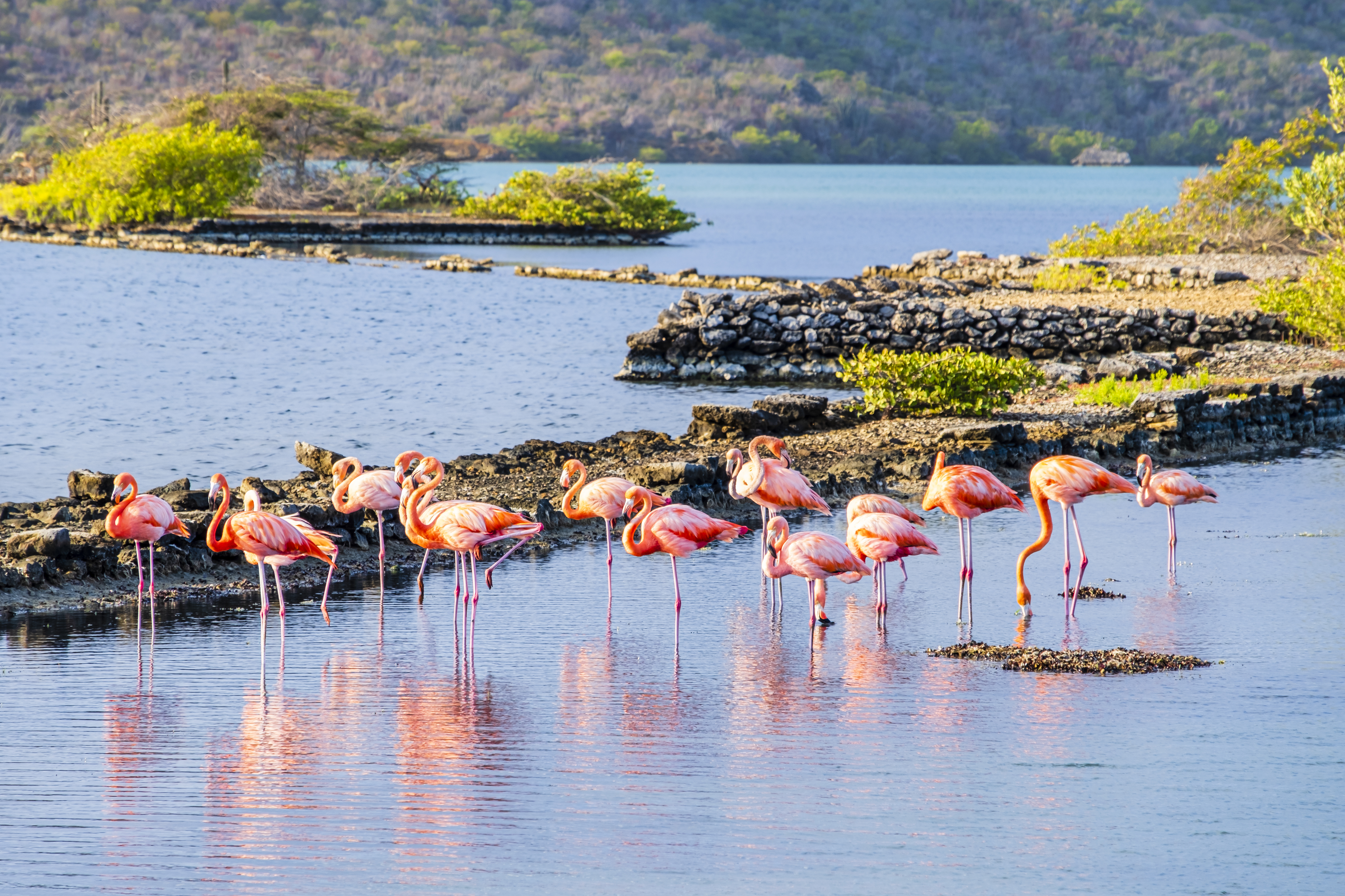 10 Cheapest Caribbean Destinations to Fly To—Which Island Should You ...