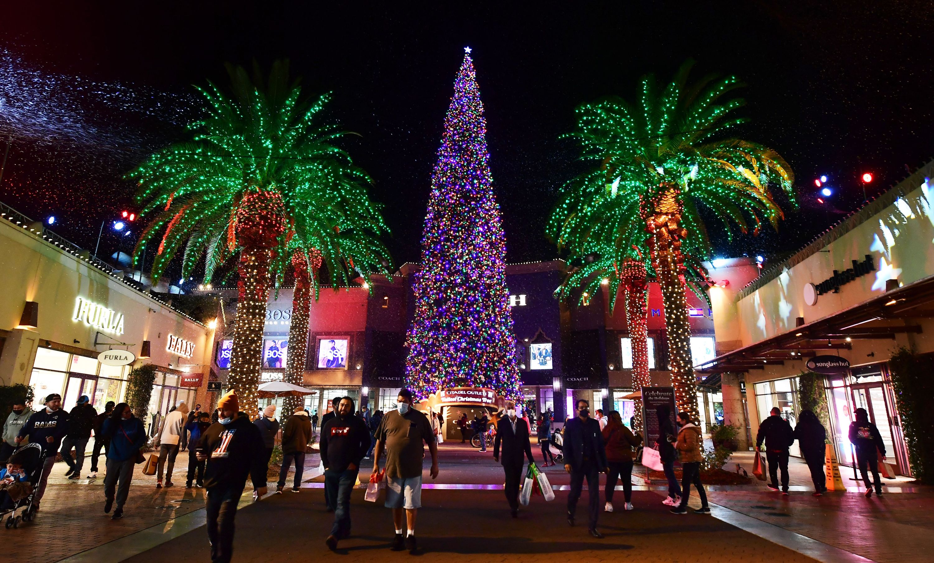 Where Can You Find the Biggest Christmas Trees in the World? 6 Tallest ...