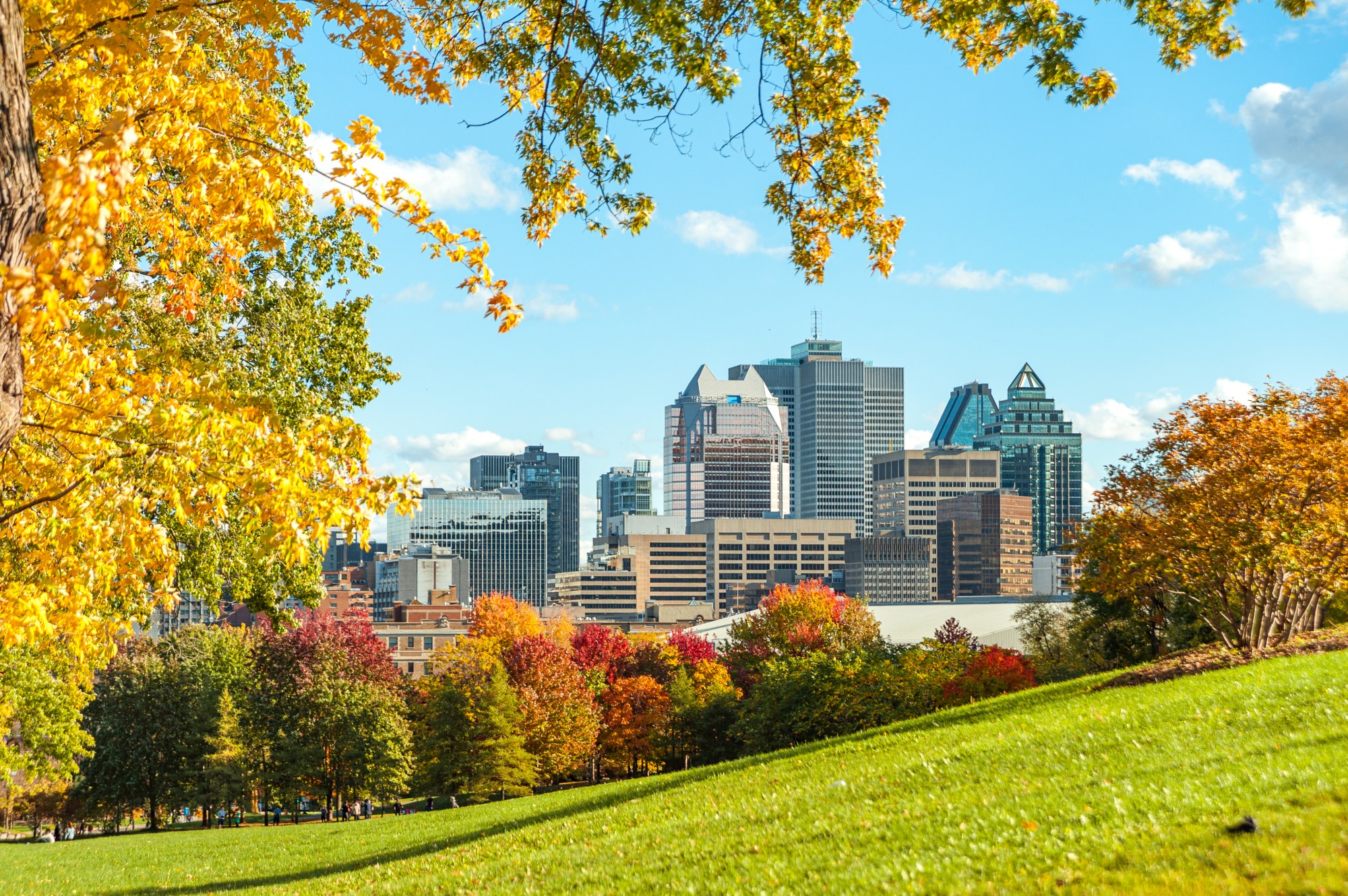 10 Most Sustainable Cities in the World | TravelAwaits