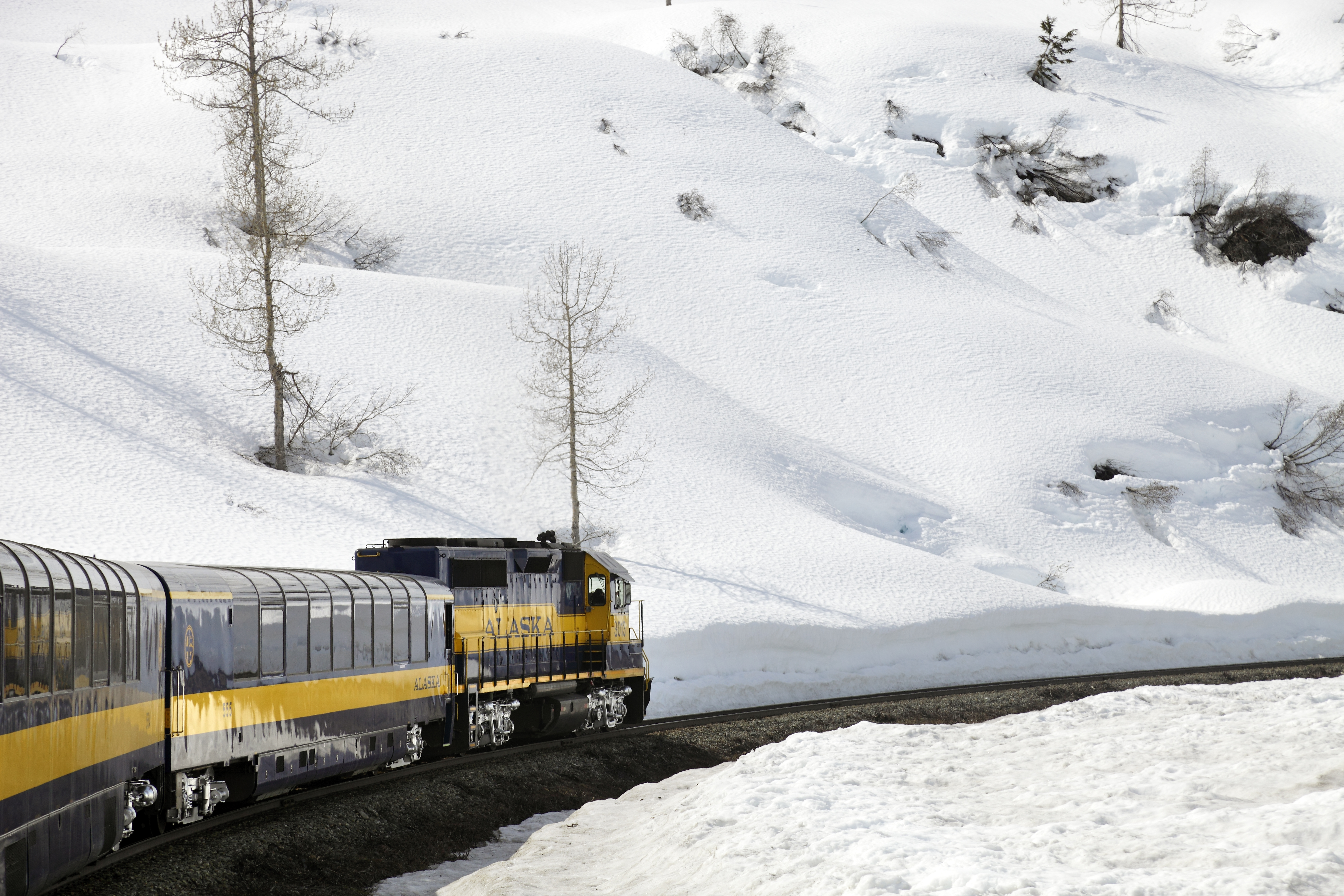 8 Scenic Christmas Train Rides in the US—That Might Come with Snow ...