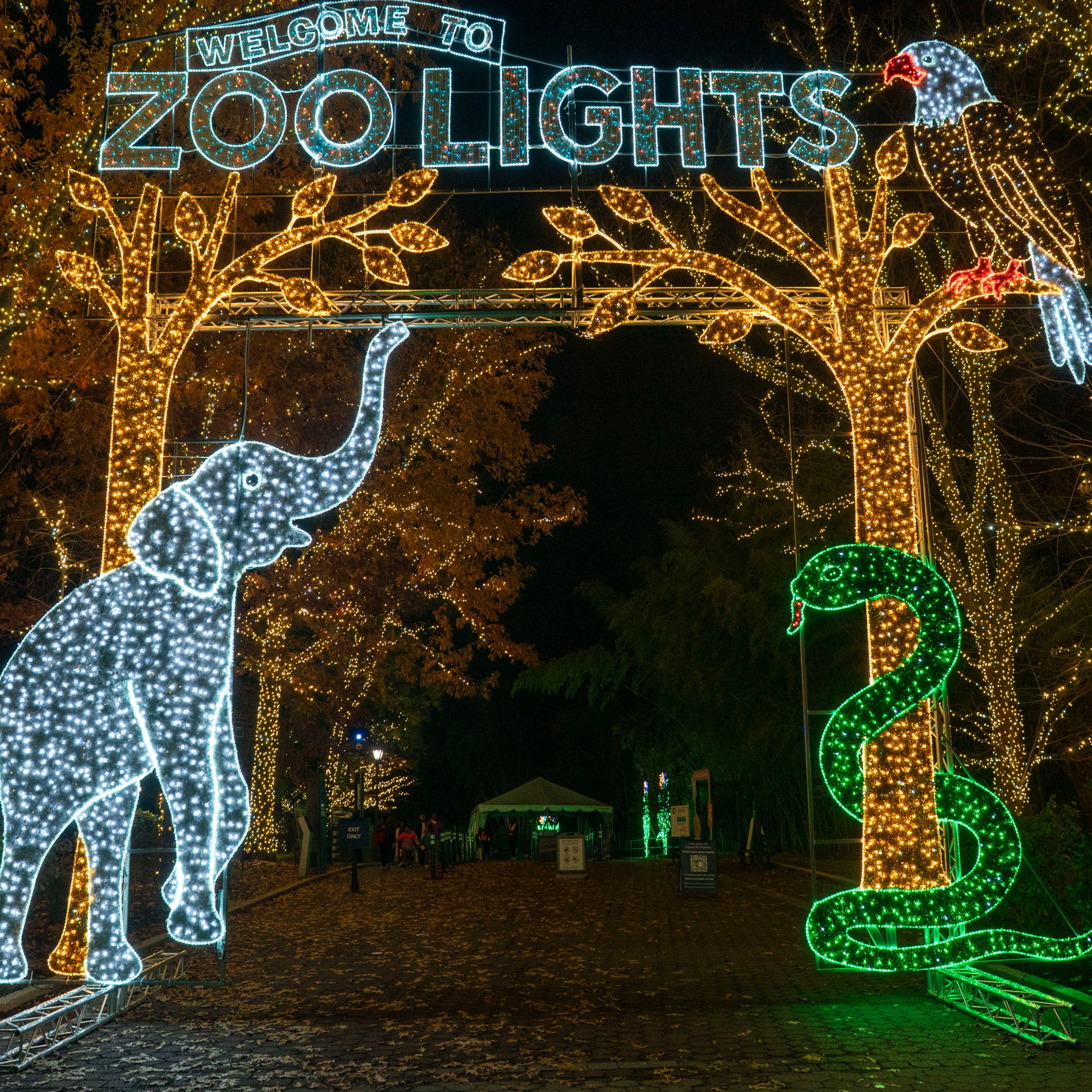 USA Today Lists 10 Best Zoo Lights Events in 2025-26 | TravelAwaits