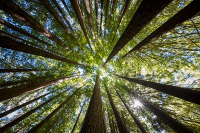 14 US National Parks That Are Also UNESCO World Heritage Sites ...